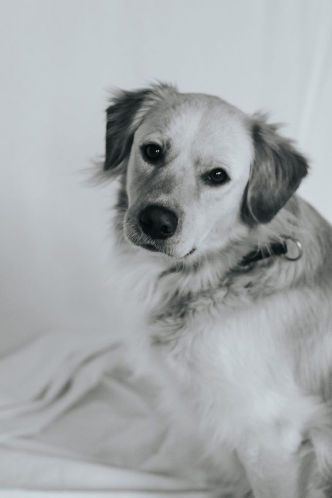 Unser Team - VITIS Healthcare Group